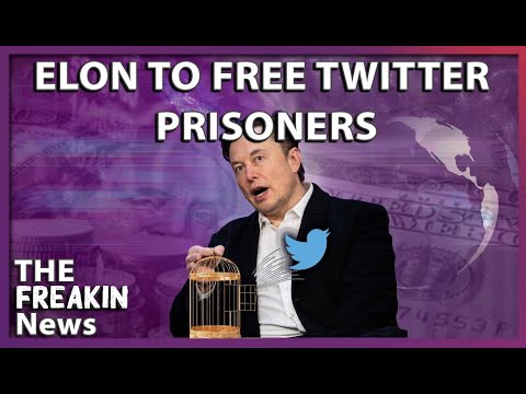 THE BIRD IS FREE: Elon Musk Finalizes Purchase Of Twitter And Fires ...