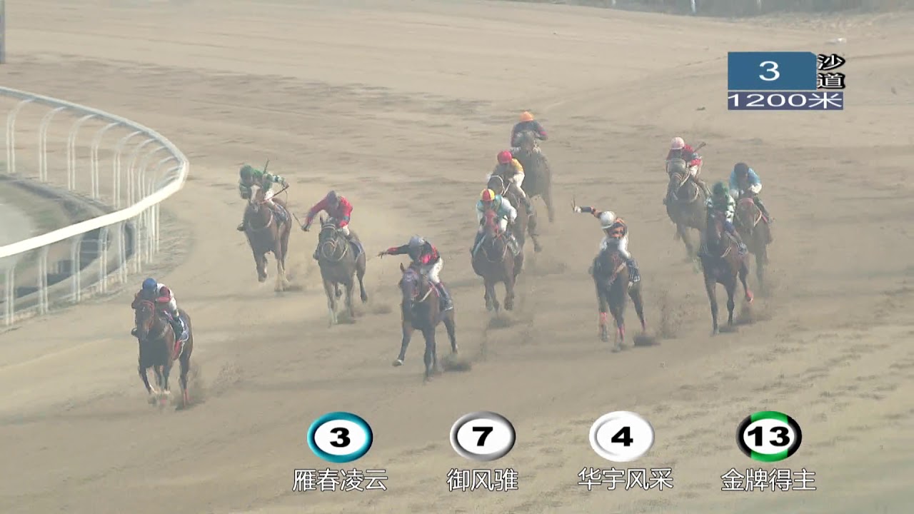 20191214 Wuhan Class 4 to 5 (55-35) maiden 1200m (Race 3) 武汉速度赛马公开赛D19 ...