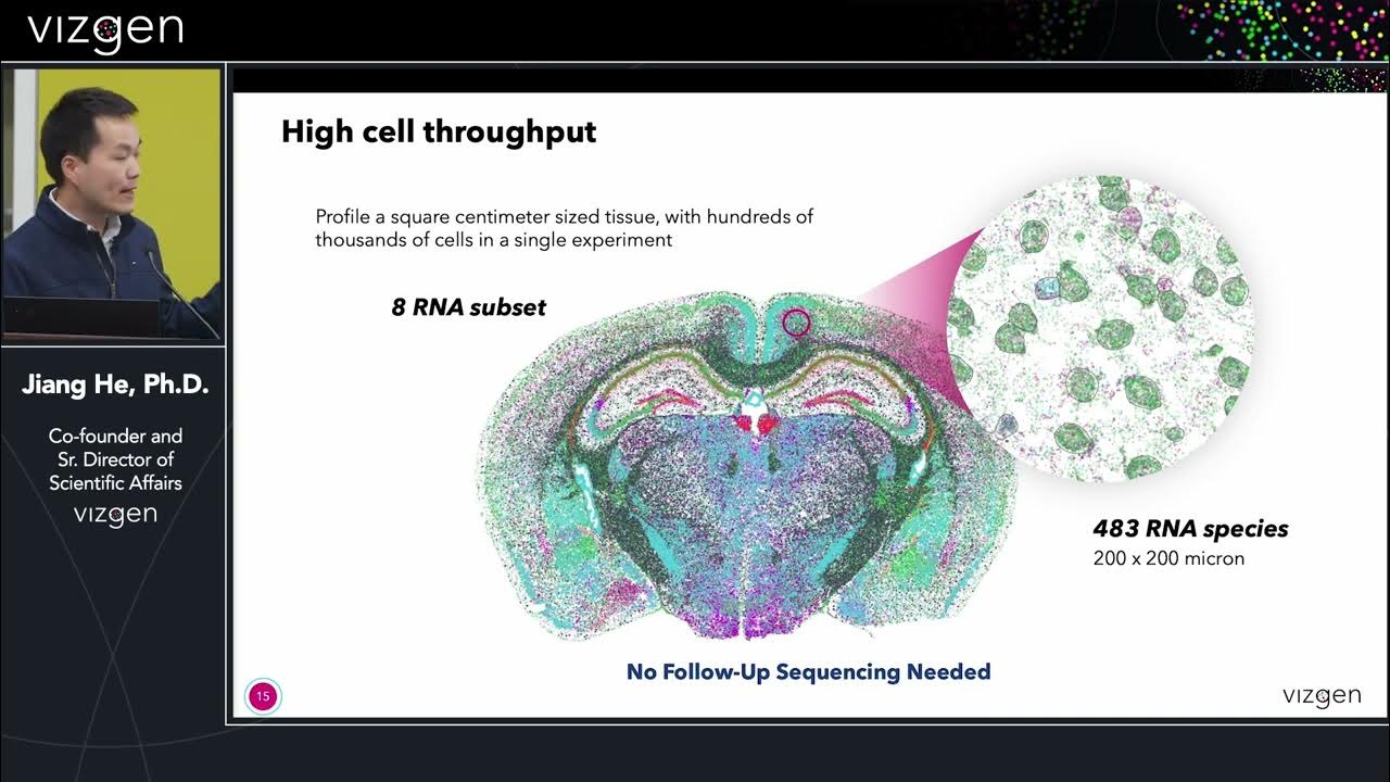 In Situ Single Cell Transcriptomic Imaging In Ffpe Tissues With
