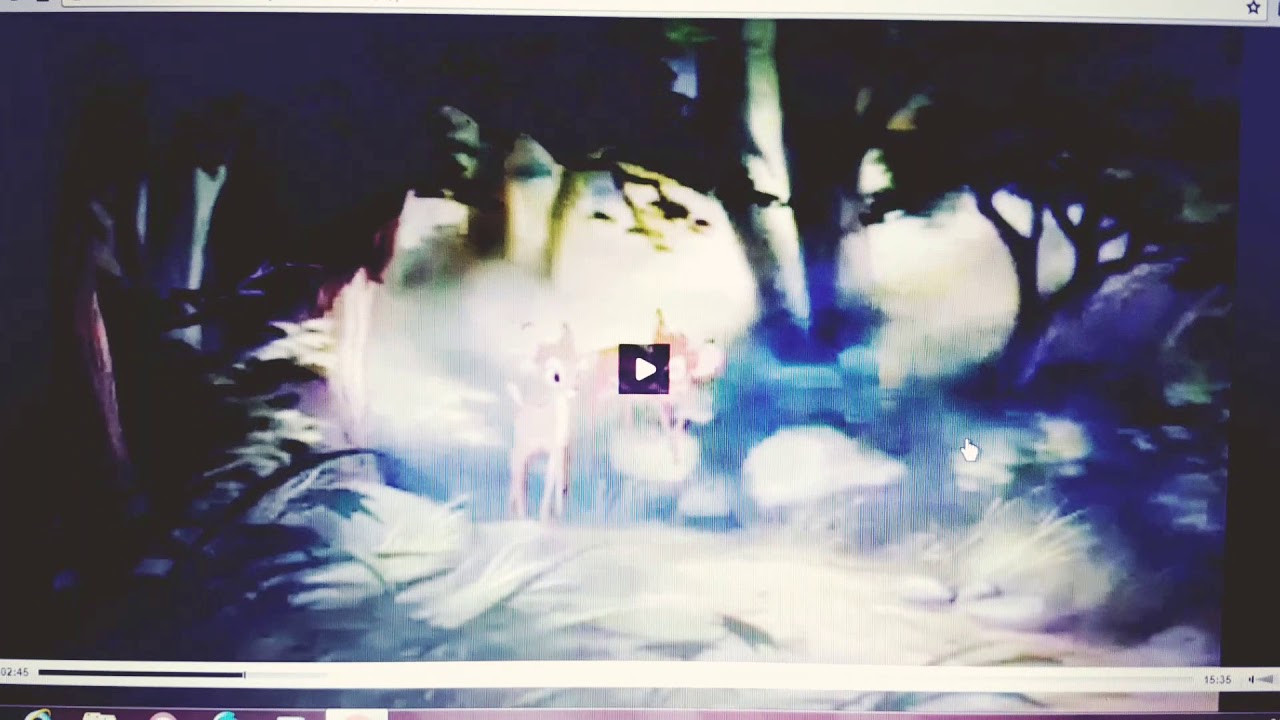 Bambi 2 - Escape From Ronno [HD] 🏃🏼🦌 - YouTube