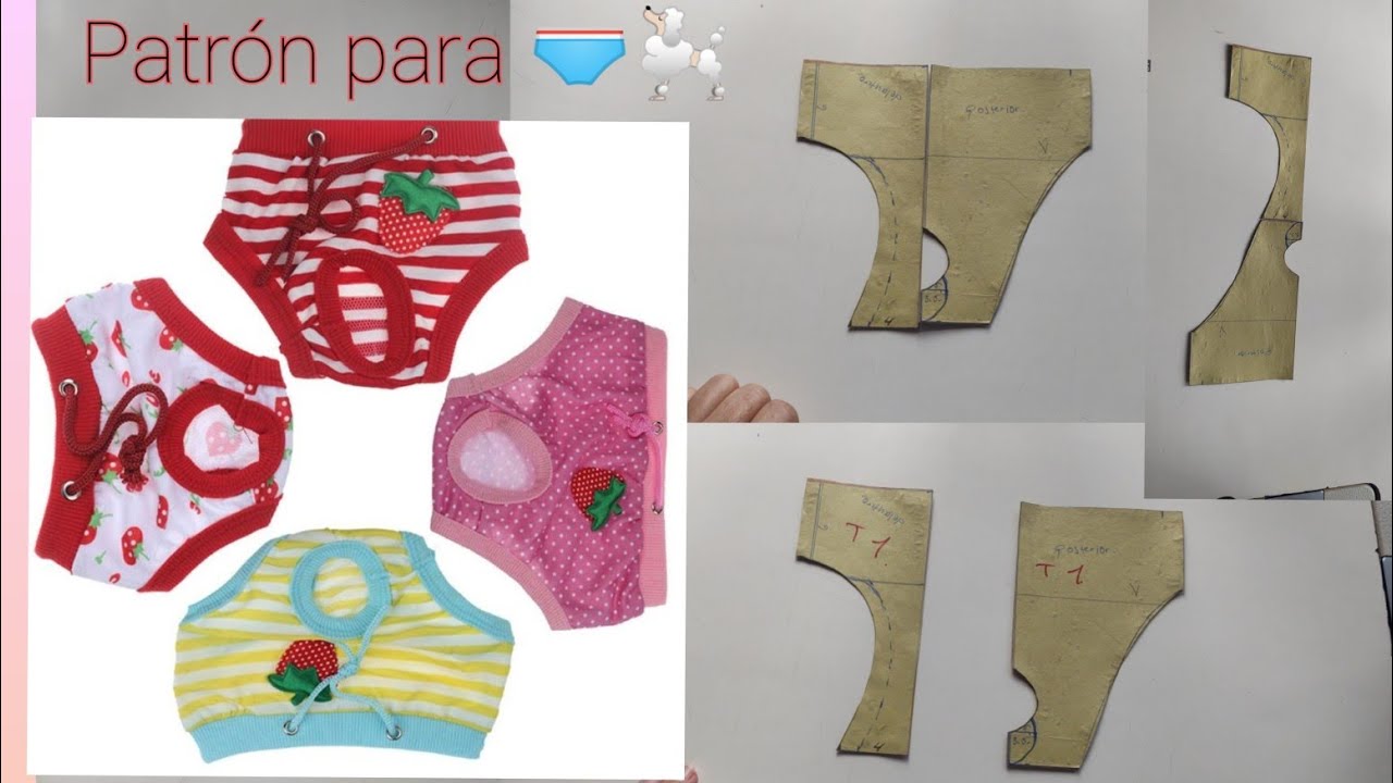 patrón de calzón 🐩para celo,braga, escalado de tallas, cómo tomar las ...