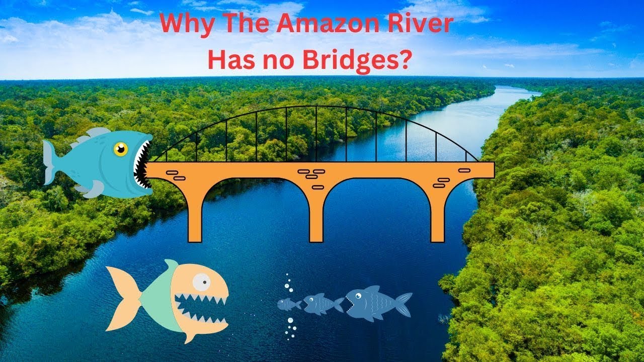 Why The Amazon River Has No Bridges? - YouTube