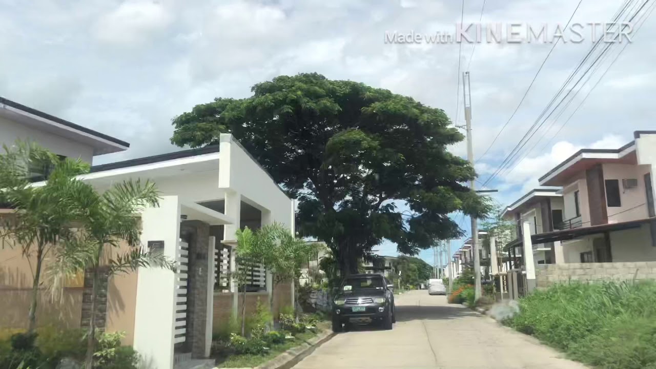 Asian Leaf Subdivision - YouTube