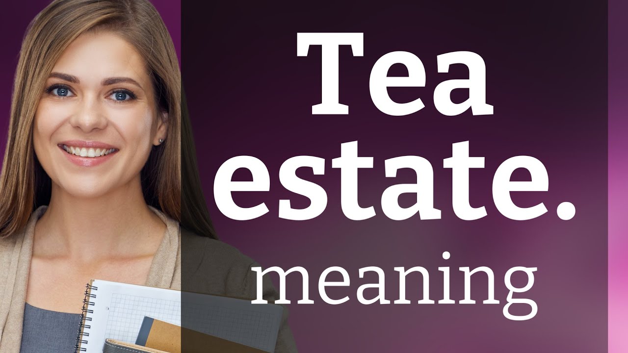 Understanding "Tea Estate": A Guide to English Vocabulary - YouTube