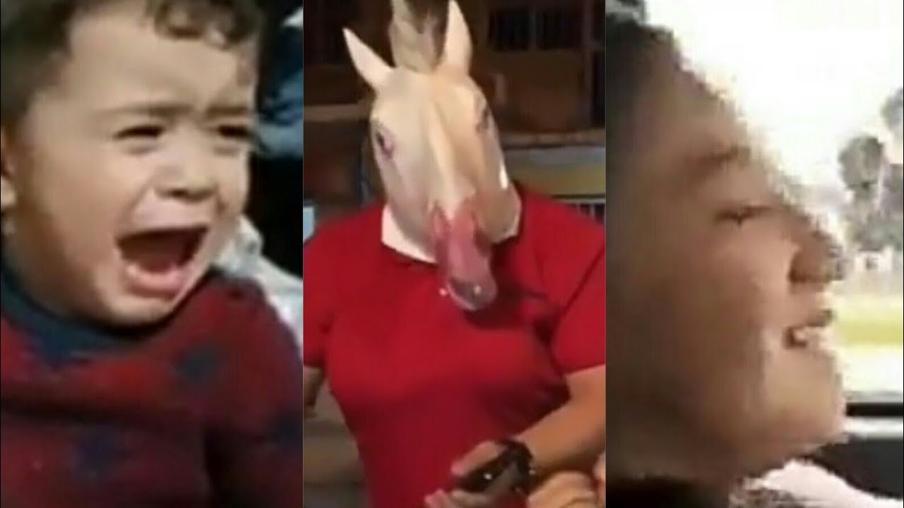 HUMOR MEXICANO|RECOPILACIÓN DE LOS MEJORES VÍDEOS GRACIOSOS DE MÉXICO ...