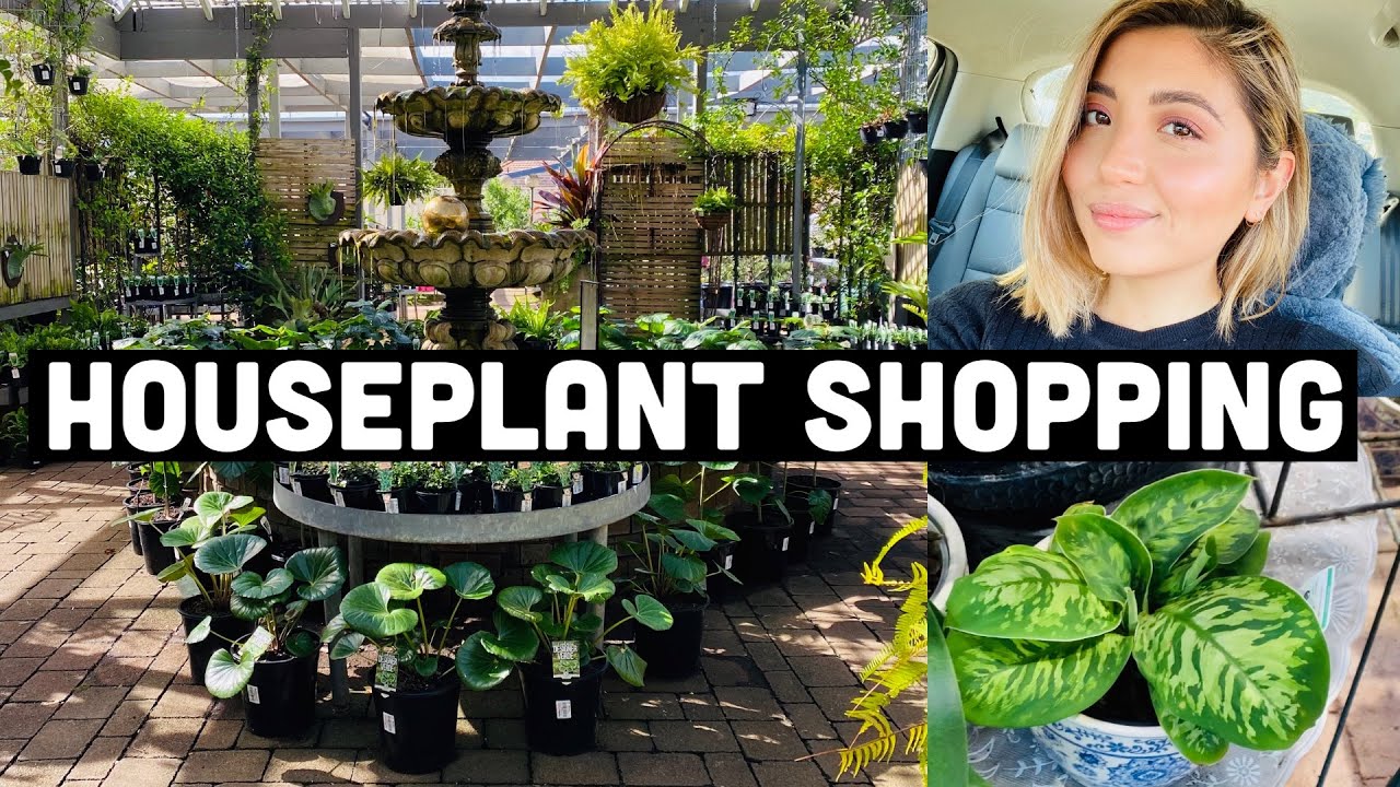 HOUSEPLANT SHOPPING | ALTRA NURSERY & FLOWER POWER PLANT TOUR - YouTube