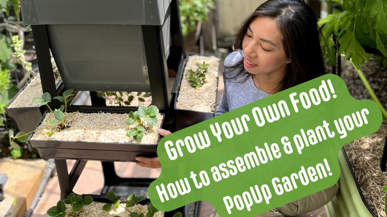 Step by Step Assembly and Planting Idea with PopUp Garden User Wendi ...