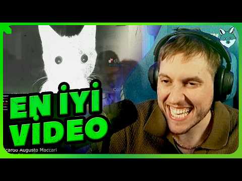 2025'in En İyi Anlarına Tepki! (@DailyDoseOfInternet) | RRaenee