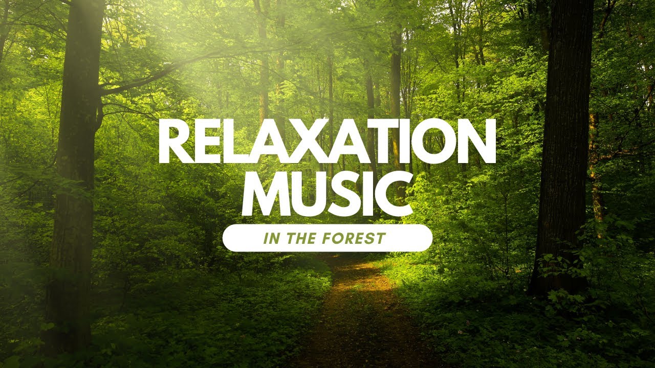 Forest Ambience: Peaceful Music for Relaxing in Nature (Suasana Hutan ...