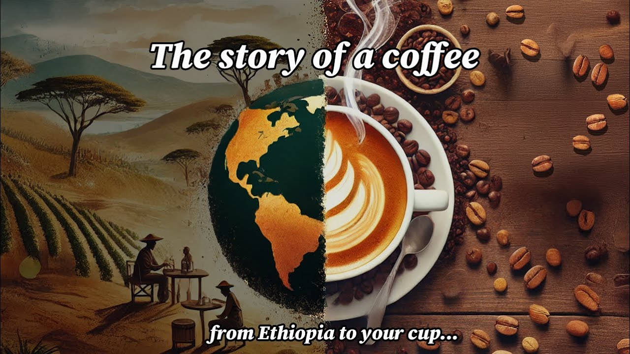 A Cup of History: The Story of Coffee - YouTube