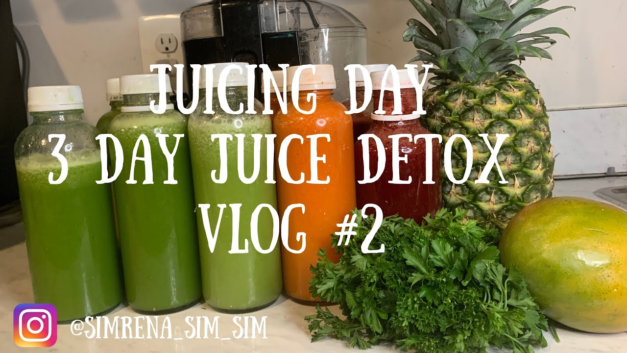 Vlog #2 3 day juice detox | juicing prep day - YouTube