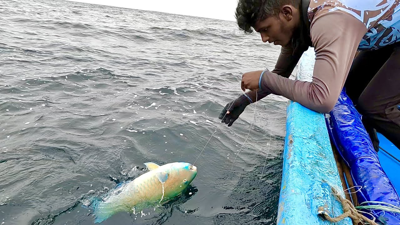 Catching Parrot Fish, Diamond Trevally & Mangrove Jack in the Sea - YouTube