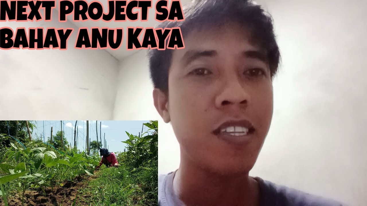 NEXT PROJECT SA BAHAY ANU KAYA/PAG PAPATULOY SA LUCKY FARM - YouTube