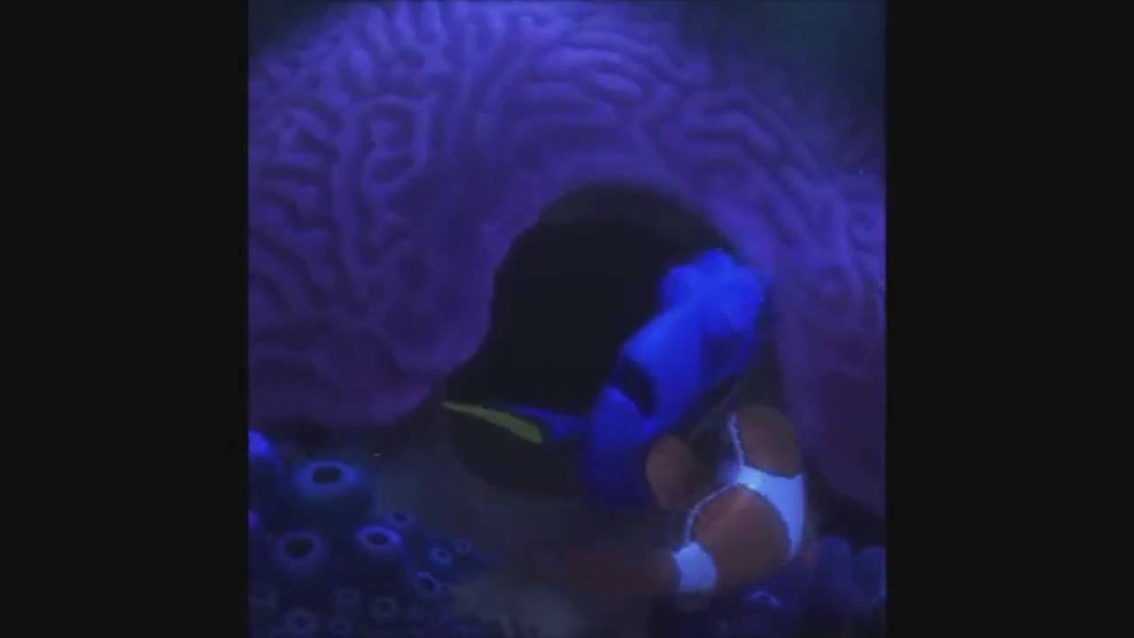 Dory says a lot of things in her sleep - YouTube