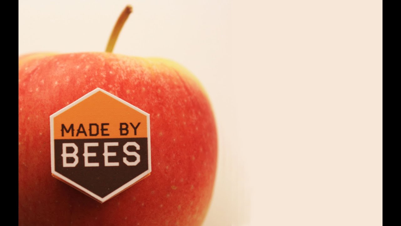 Apples- Made by Bees - YouTube