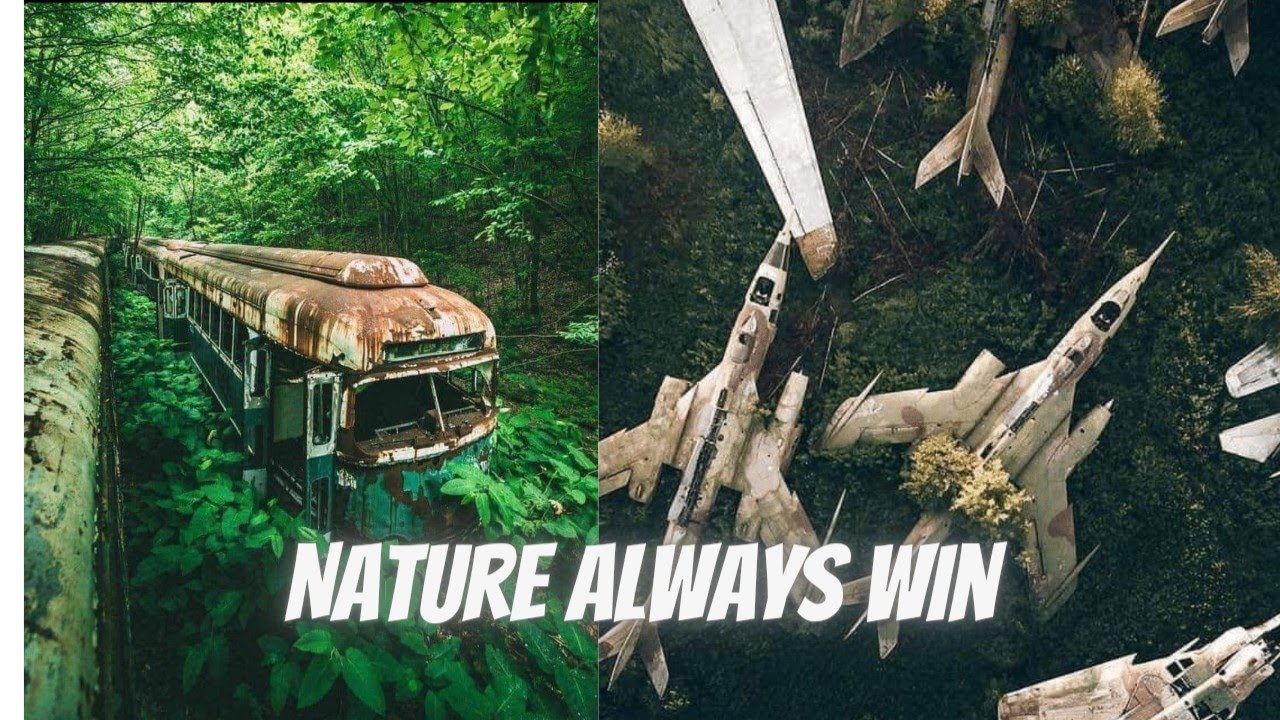 Man made vs Nature#nature #naturelovers #unbelievable - YouTube