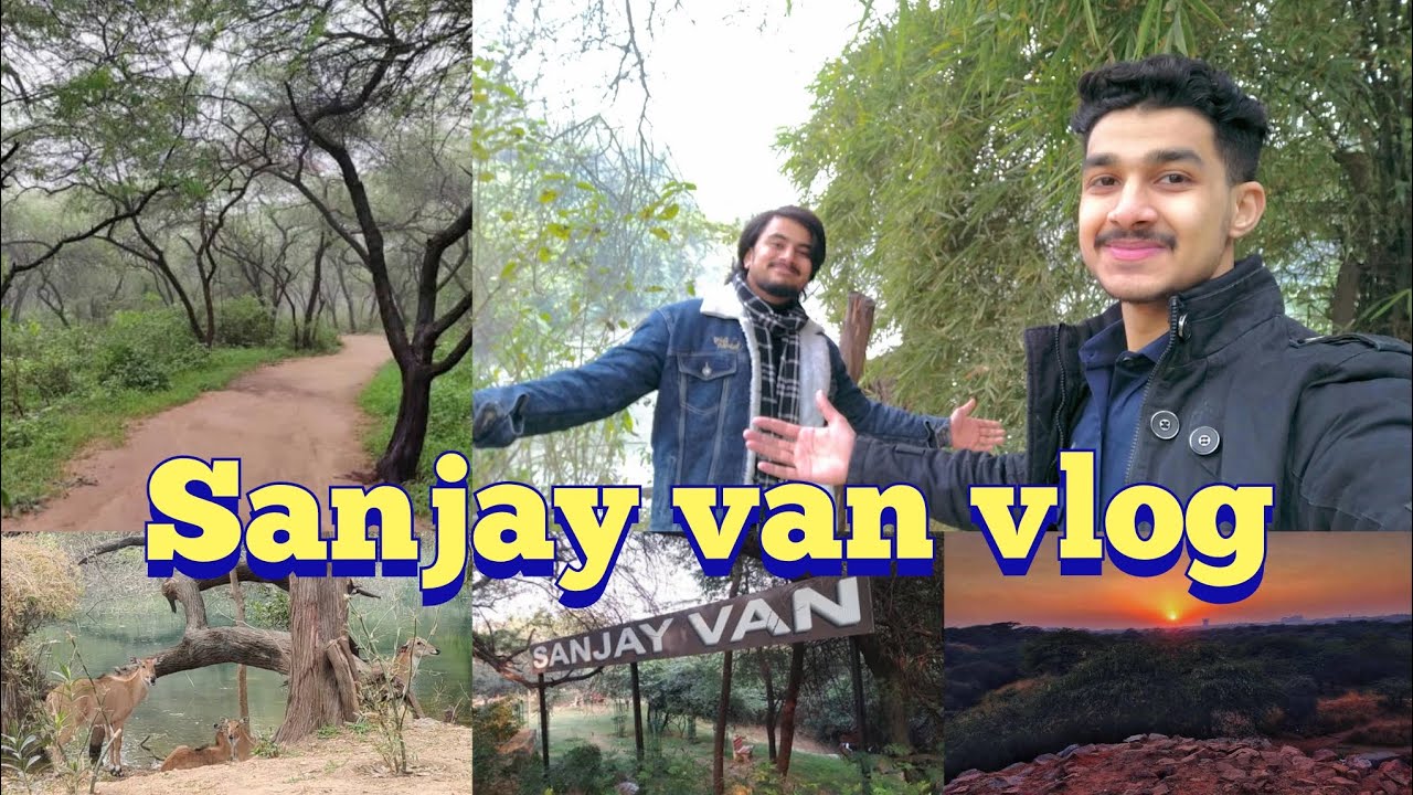 Sanjay van vlog | Delhi Attraction | Delhi forest area of 443 acres # ...