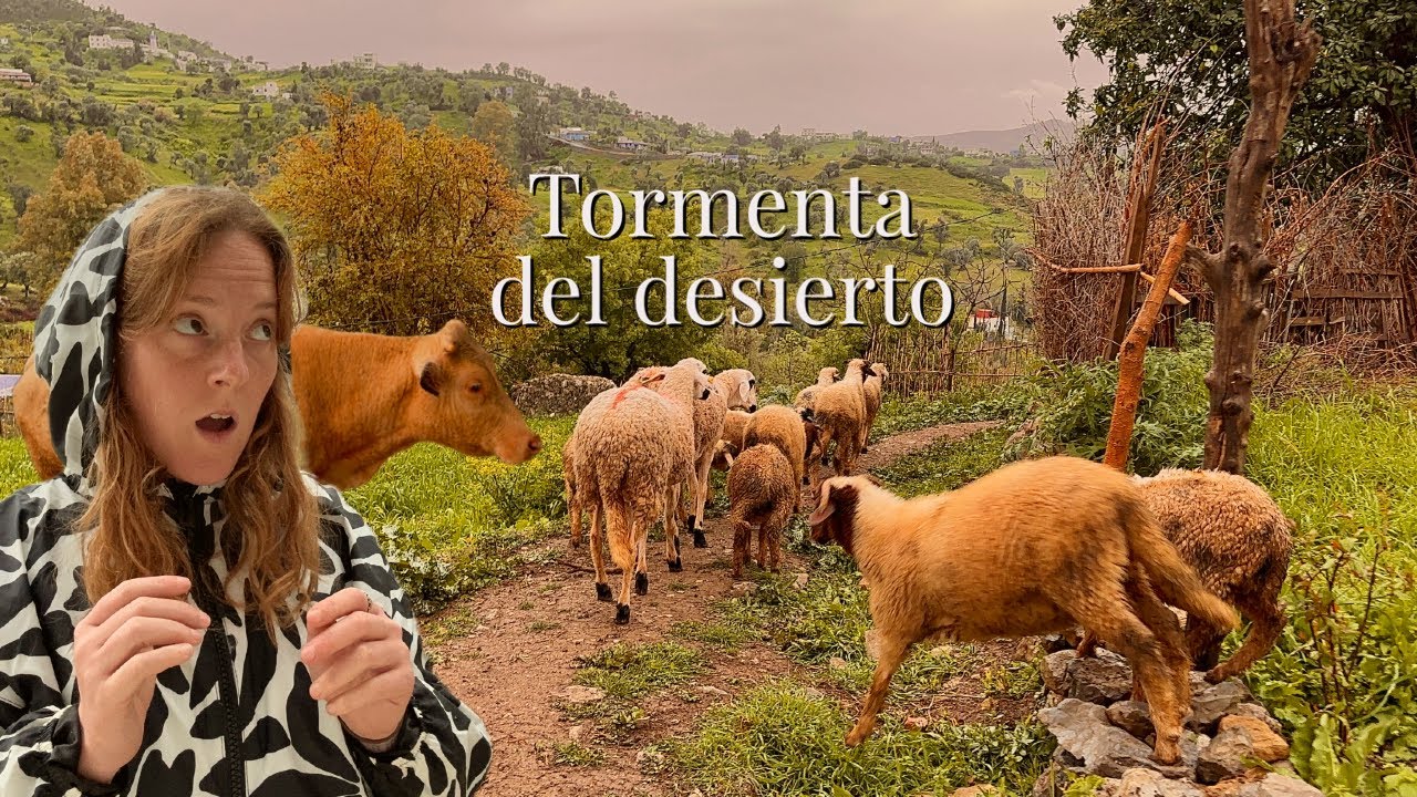 🌪️¡He pasado Miedo! Atrapada en la Tormenta del Desierto, Ovejas se Escapan de la finca ...