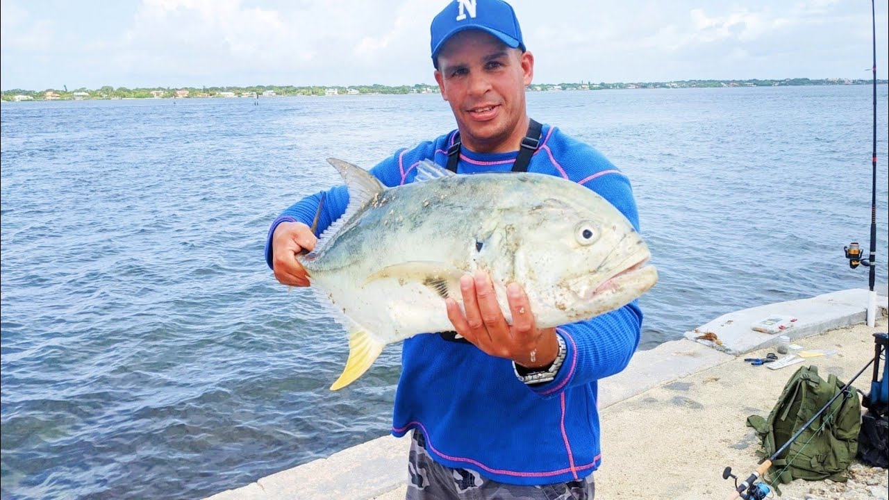 PESCA EN STUART CAUSEWAY\\Allan Abad - YouTube