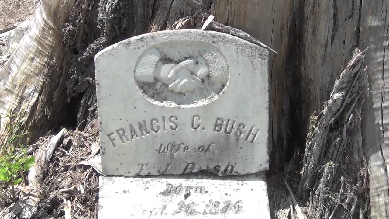 Bush Cemetery 3 - YouTube