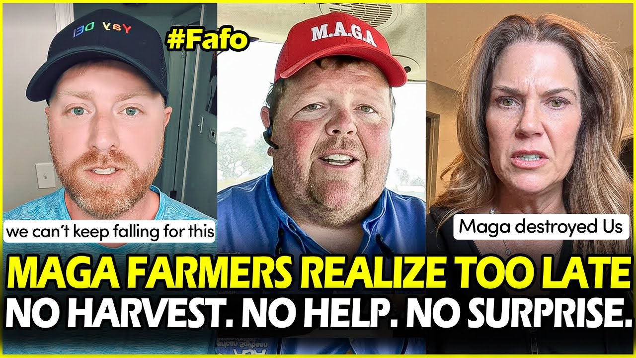 MAGA Soybean Farmers Blame Everyone But Themselves as their Farms Go ...