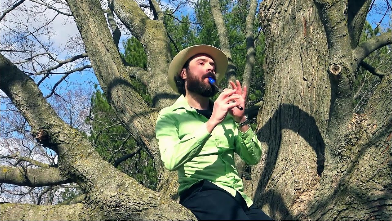 I Danced in the Morning (featuring Emily Morrison) - YouTube