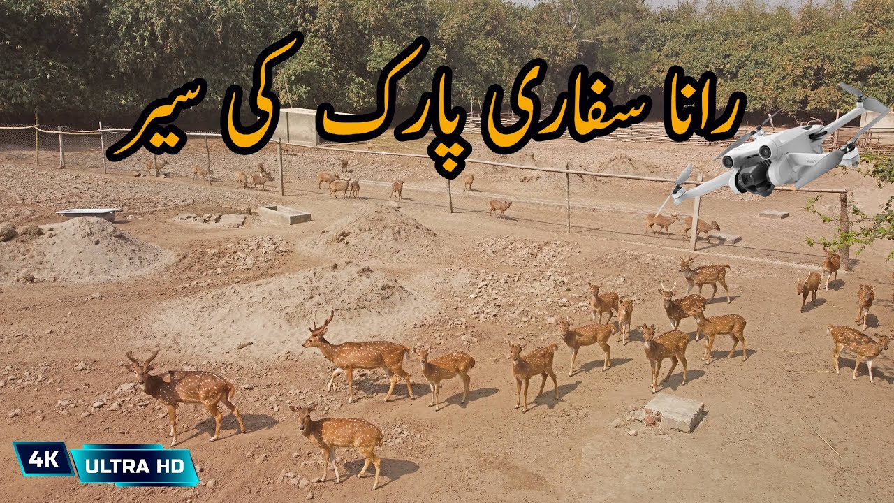 Aerial View of Rana Resort Safari Park | Pakistan Punjab | DJI Mini 3 ...