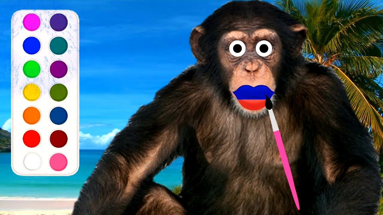 Learn Colours with monkey and lipstick | Finger Family Songs for Kids ...