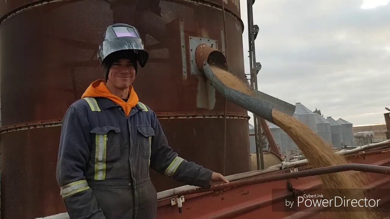 Drying wheat with the Meyer Morton batch dryer! - YouTube