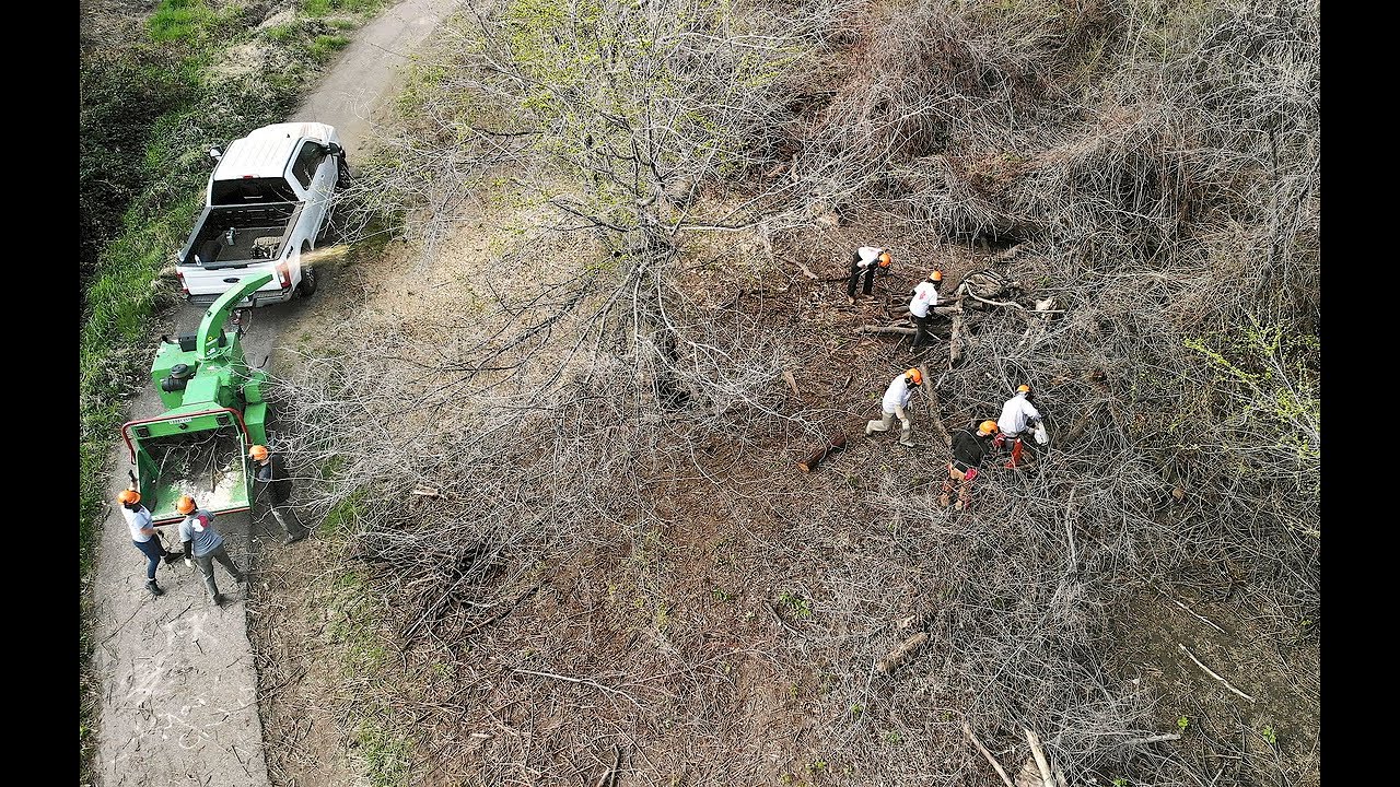 Team Rubicon's fire mitigation cleanup of Zintel Canyon - YouTube