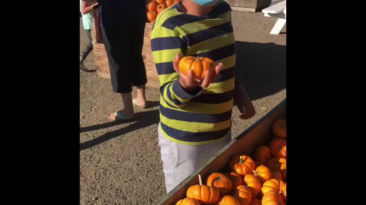 Dave’s Pumpkin Patch - YouTube