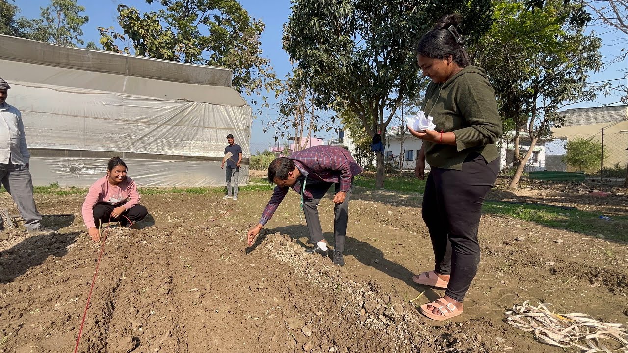 Sowing seed day 01 || Resarch work - YouTube