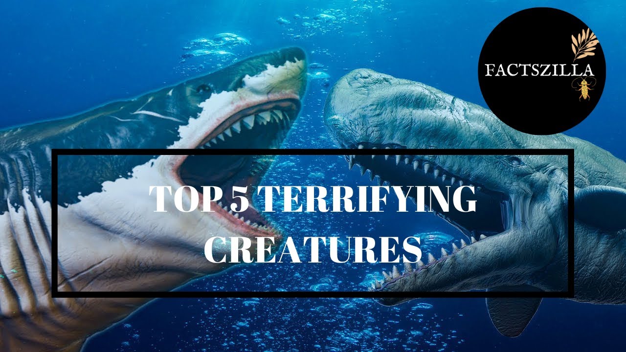 Top 5 terrifying animals - YouTube