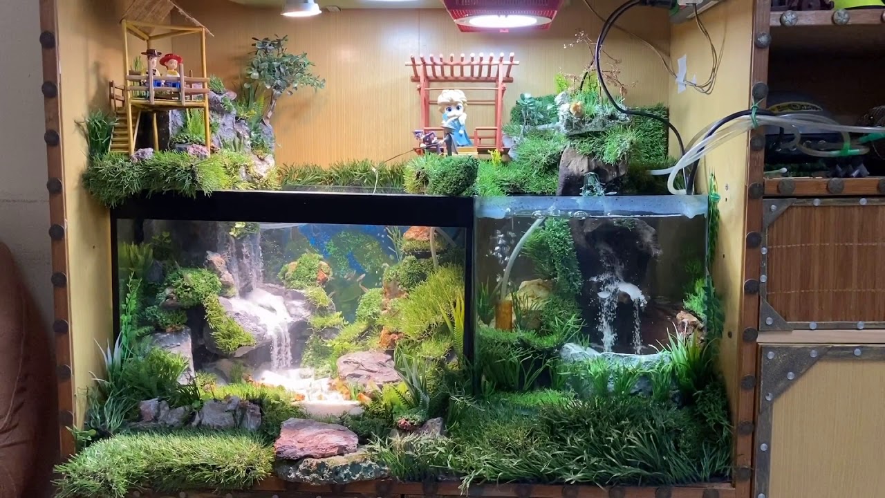DIY Waterfall Aquarium 瀑布水族館 - YouTube