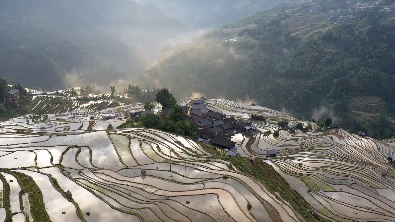 How thousand-year-old rice-fish-duck ecosystem benefits villagers in ...