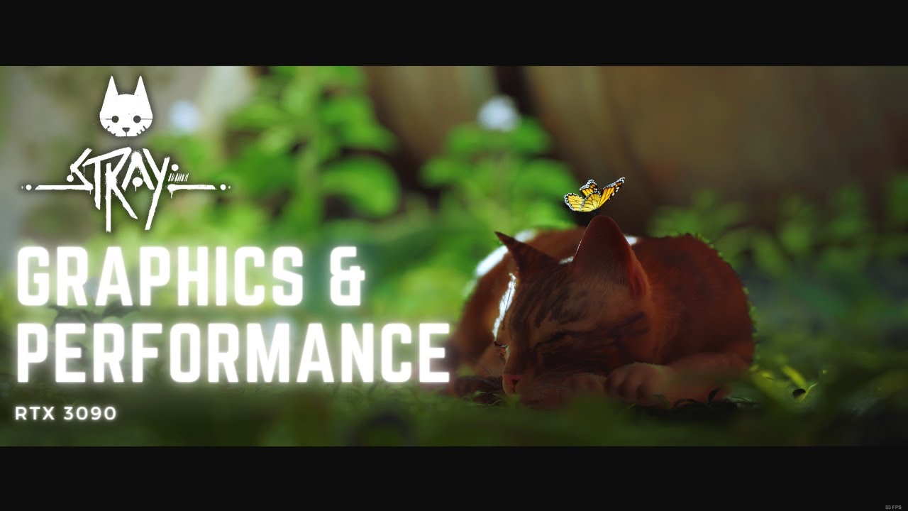 Stray - Graphics Analysis | RTX 3090 4K 60FPS - YouTube