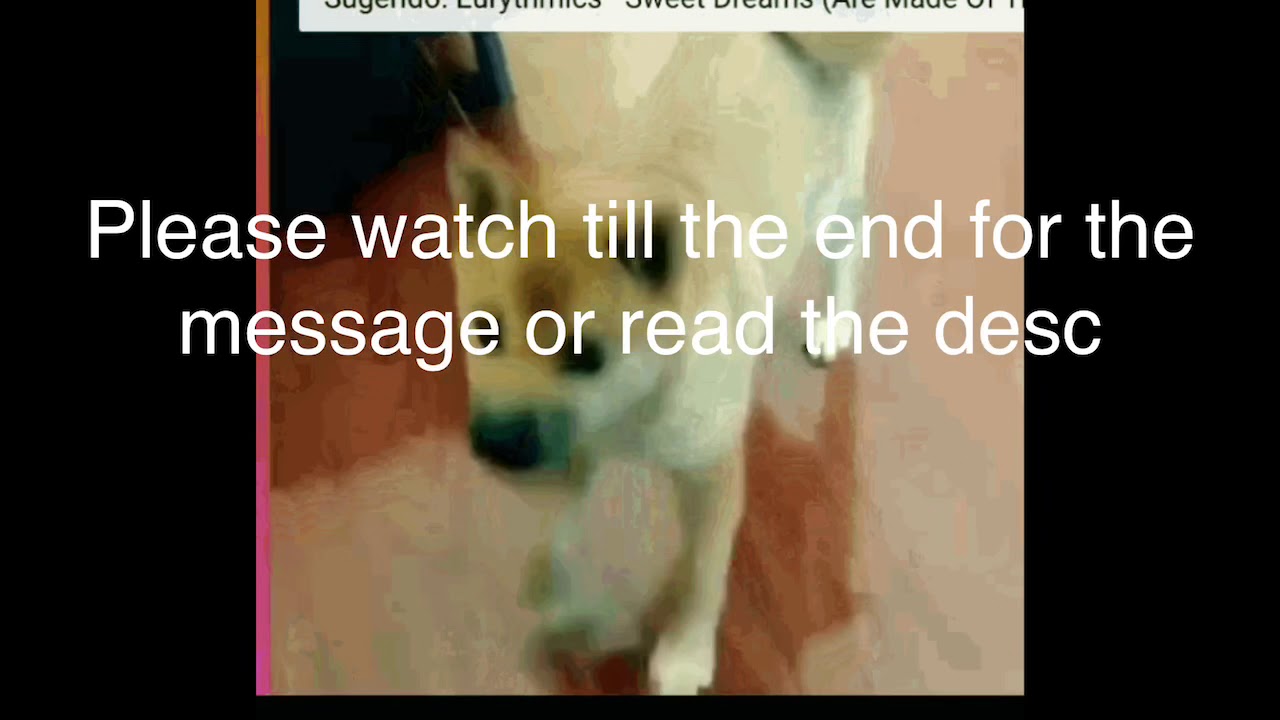 Dancing in the loop of memes(read desc or what till the end for message ...