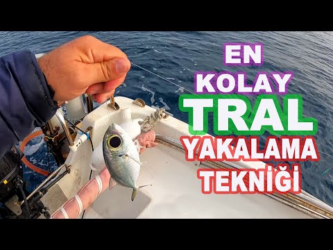 Tral Balığı Yakalamanın En Kolay Yolu...Bu Yöntemle Yemlik Balık Yakalamak Çocuk Oyuncağı...
