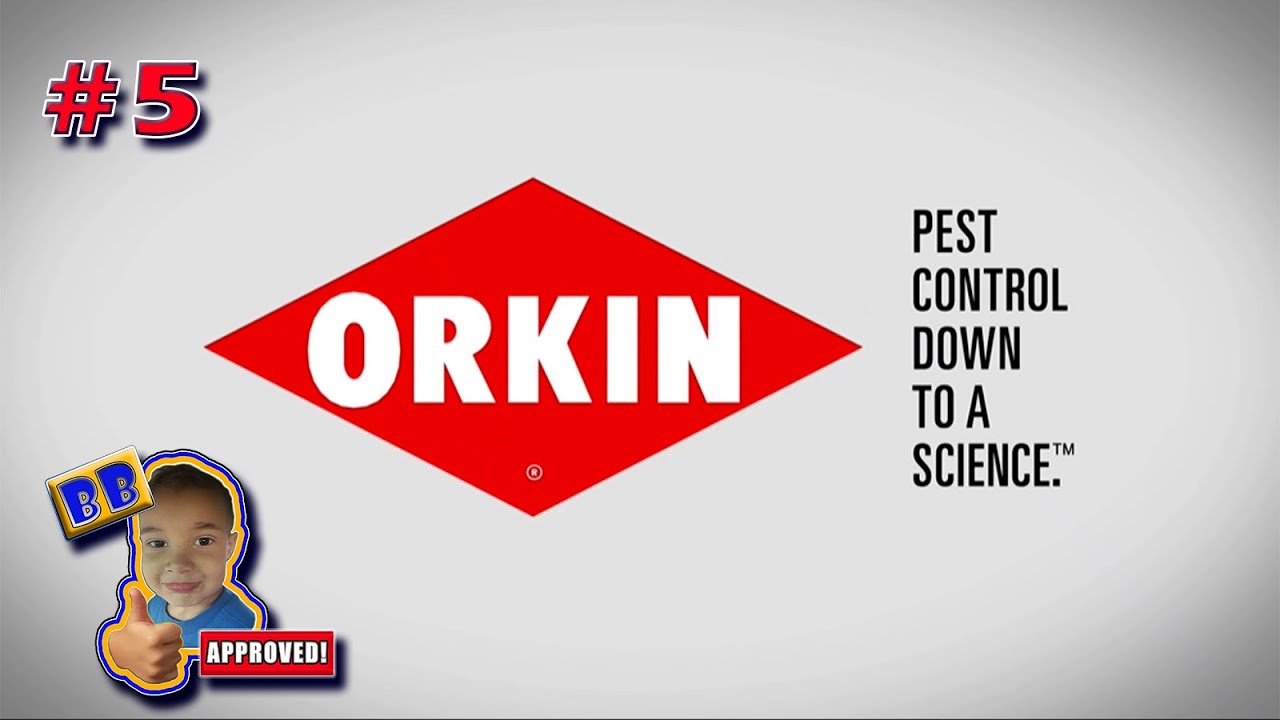 Orkin: Pest Control Done Right! #5 Orkin Man vs Spider: Evo Skits ...