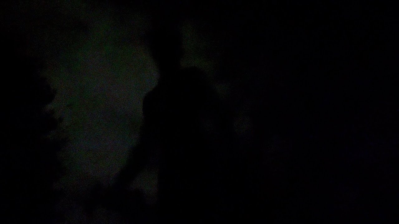 4 am workout - YouTube