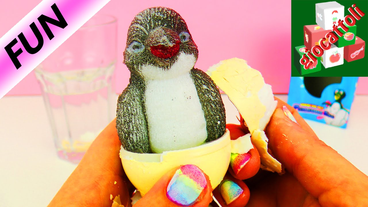 Pino il pinguino è nato! - YouTube