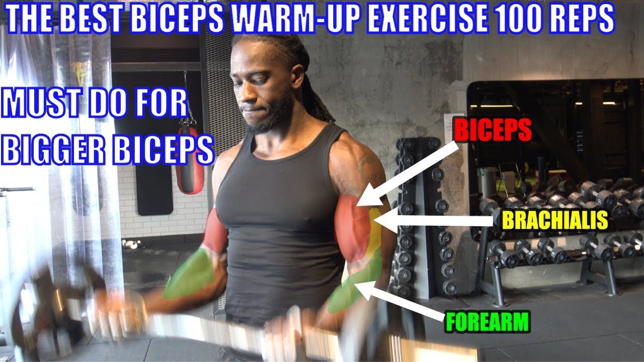 BICEPS WARM-UP 100 REPS - YouTube