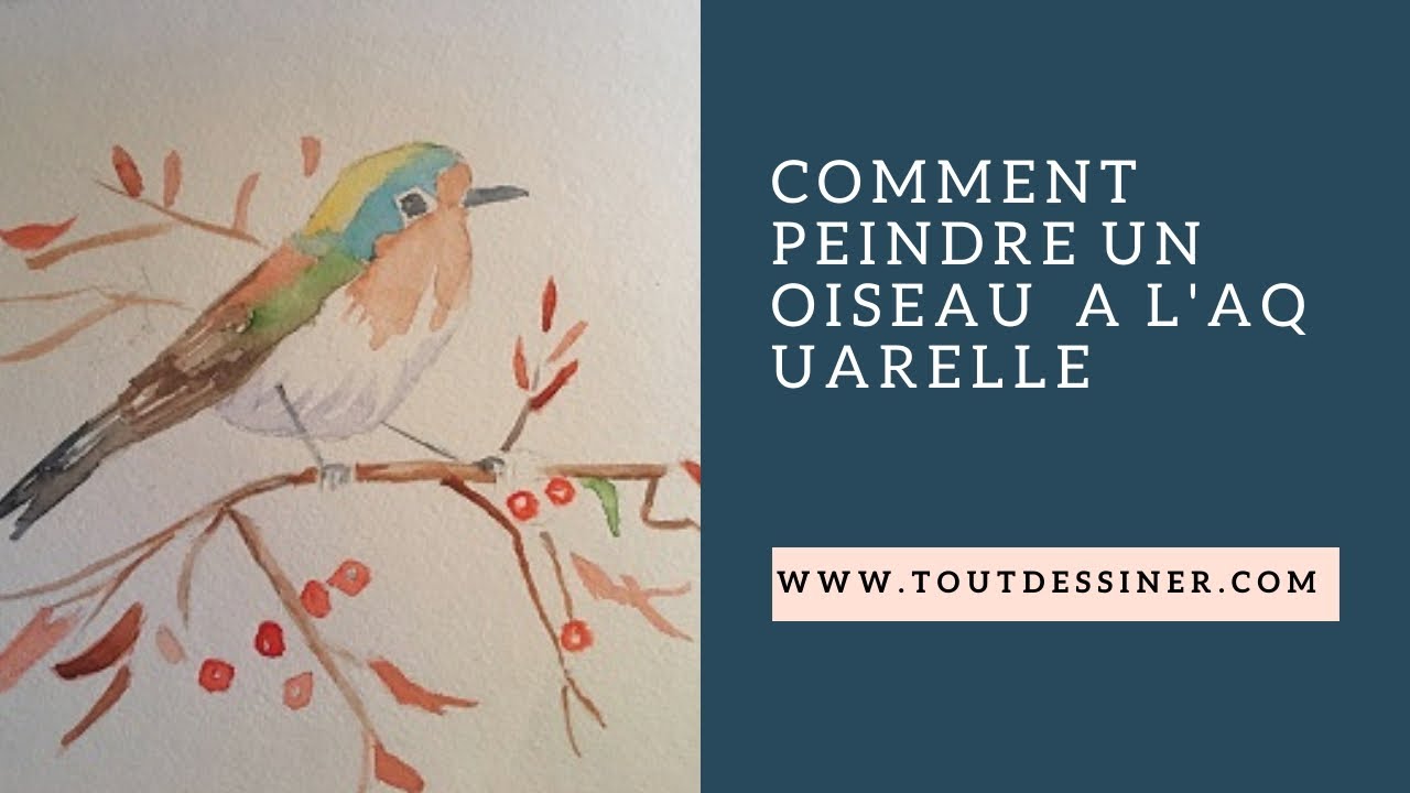 Peindre un Rouge-Gorge Facilement à l'Aquarelle - Pas à Pas pour ...
