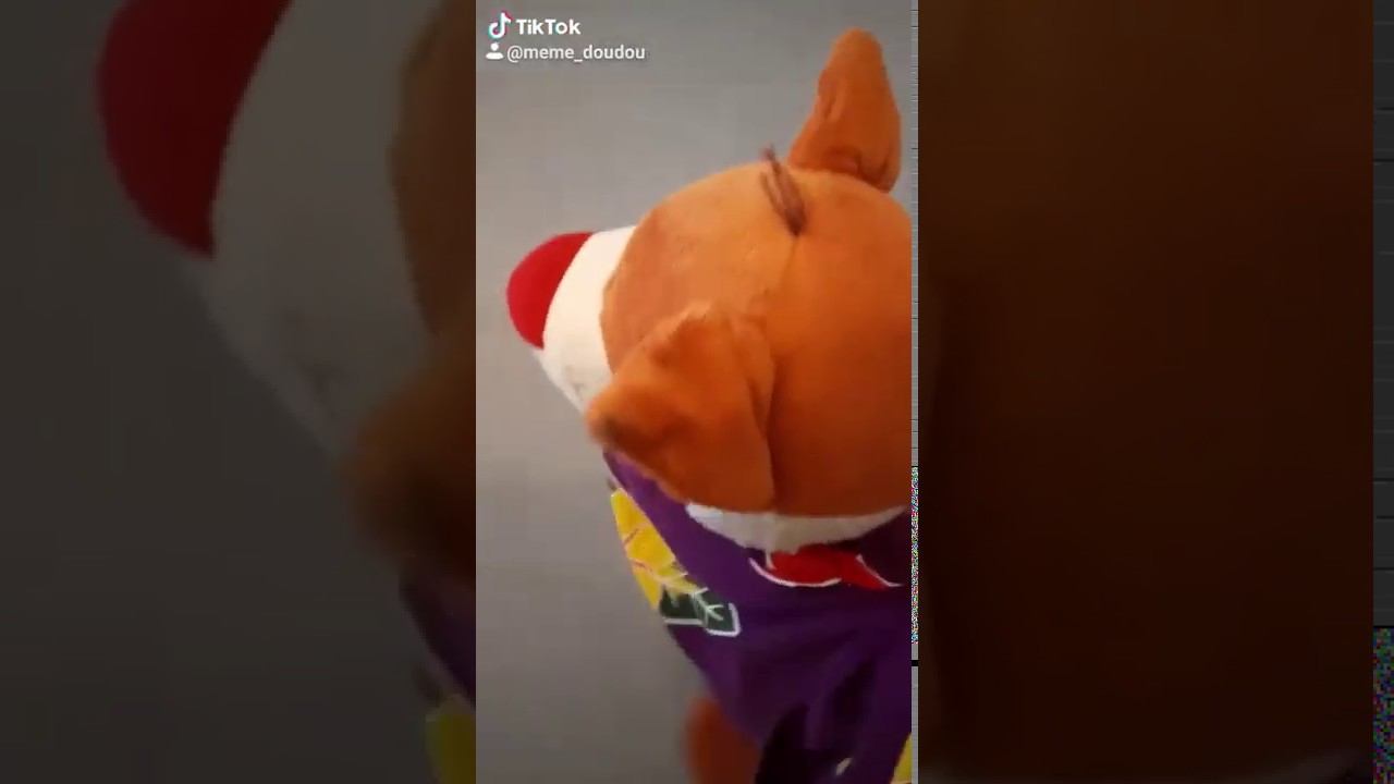 [Meme Doudou] Premier TikTok de Doudou (Episode 1) - YouTube
