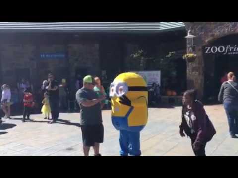 The Kids Seen The Minion At Zoo - YouTube