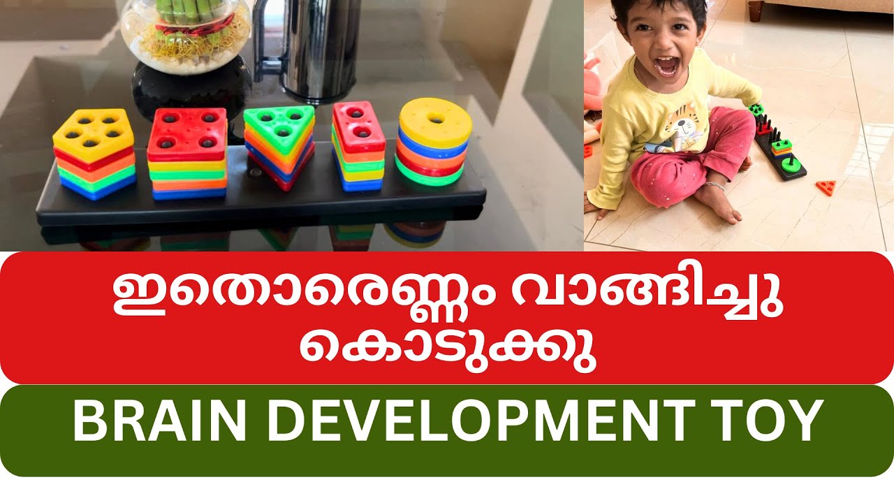 Brain Development Toy for Toddler - YouTube
