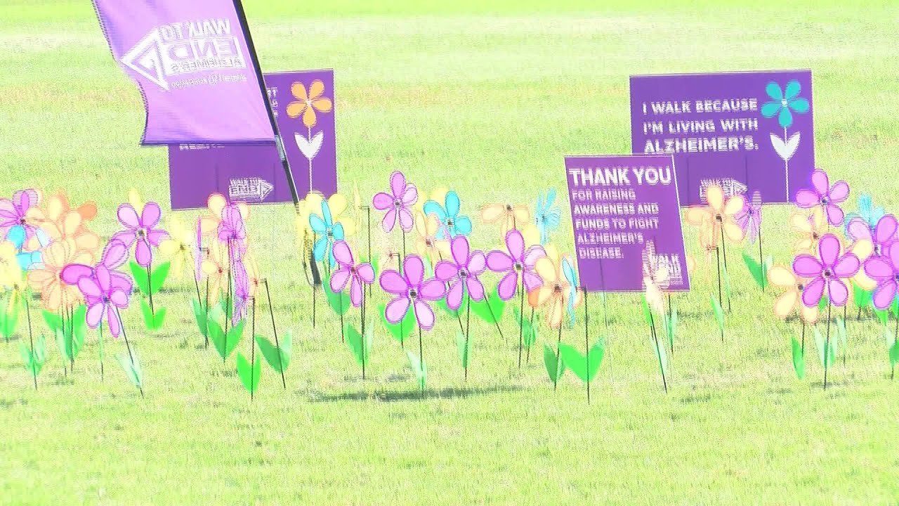 The Planted Promise Garden at Walk to End Alzheimer's 2023 - YouTube