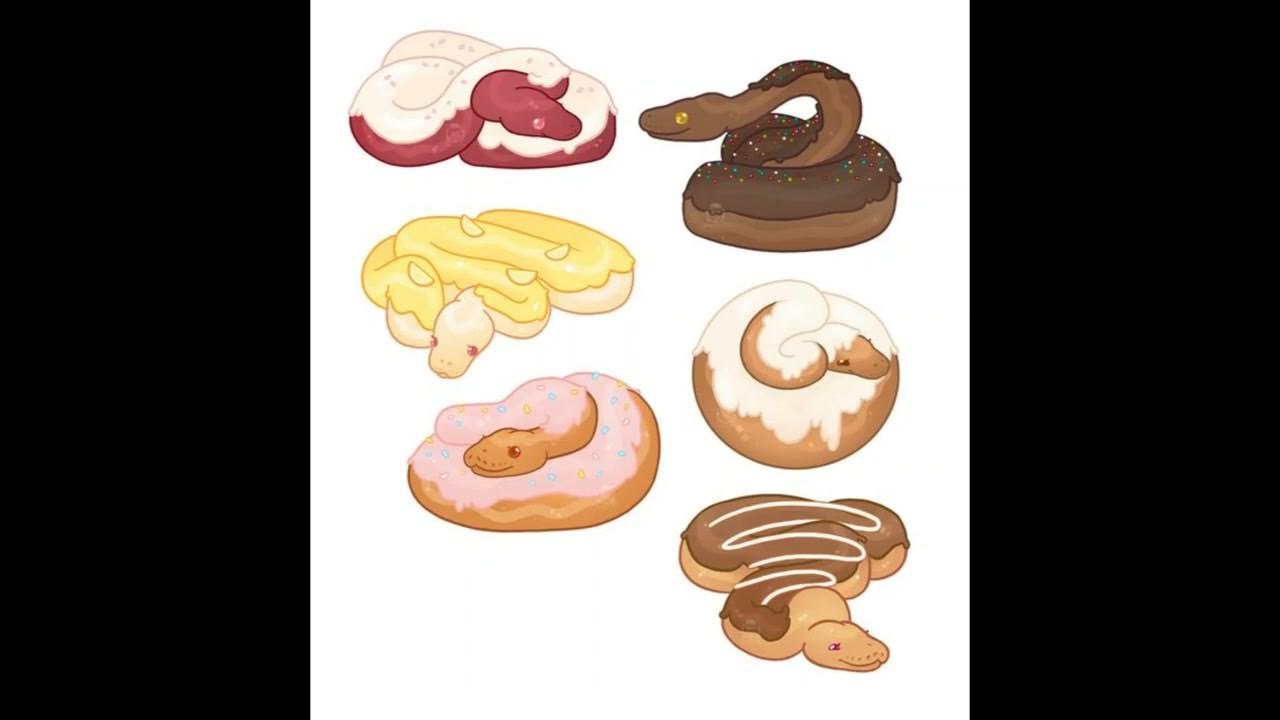 Sweet Pythons - Chinese Zen - YouTube