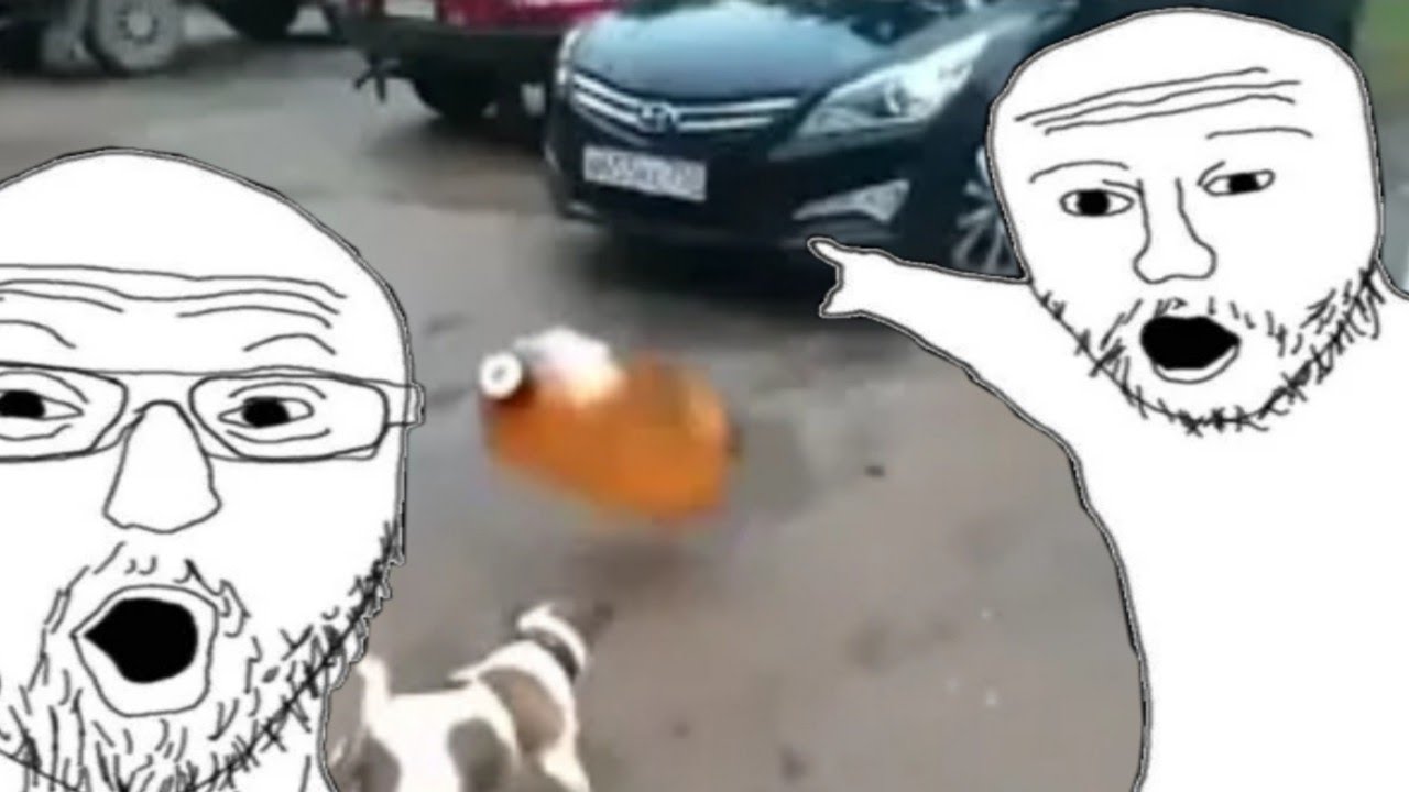 dog explodes - YouTube