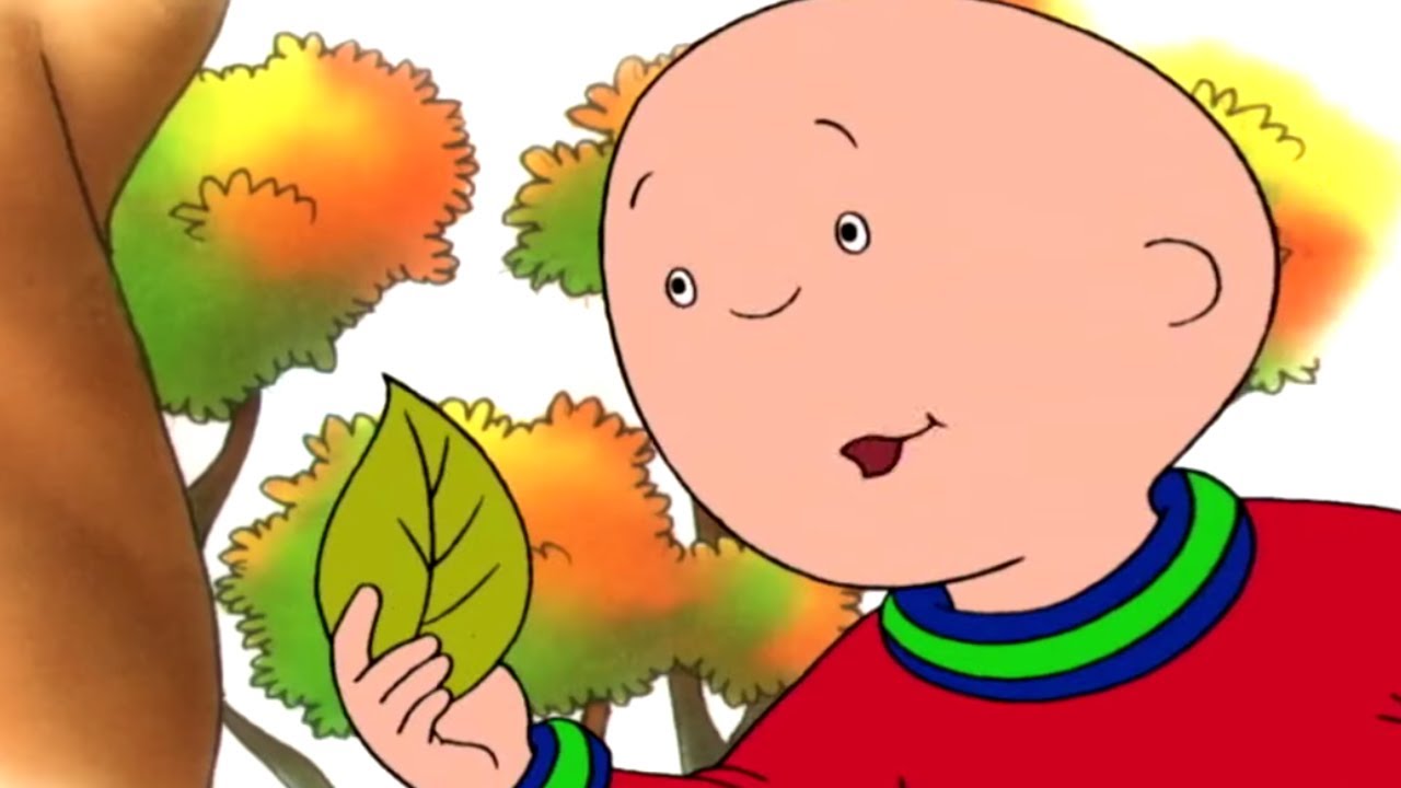Caillou and the Autumn Leaves | Caillou Cartoon - YouTube
